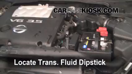2004 Nissan Maxima Transmission