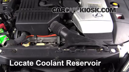 Coolant Level Check on a 2006 Lexus RX400h 3.3L V6