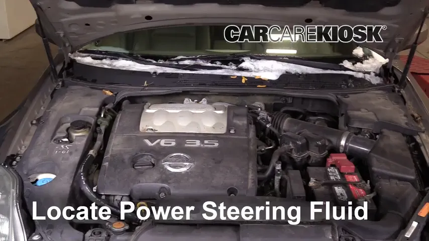 Nissan Maxima Power Steering Fluid
