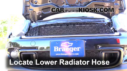 Coolant Flush How-to: Mini Cooper (2008-2015) - 2009 Mini Cooper ...