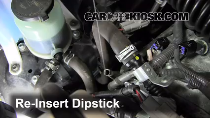 Oil & Filter Change Lexus LS460 (2007-2012) - 2007 Lexus LS460 4.6L V8