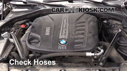 How to Add Coolant: BMW 535d xDrive (2010-2017) - 2014 BMW 535d xDrive ...