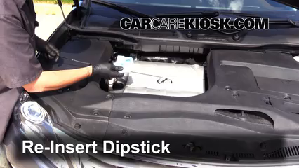 Oil & Filter Change Lexus RX350 (2010-2015) - 2014 Lexus RX350 3.5L V6