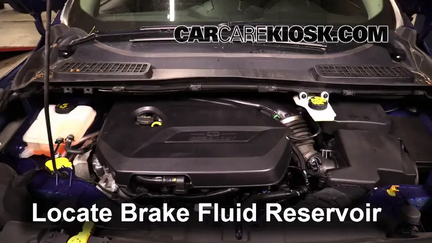 How to Add Power Steering Fluid to a 2015 Ford Escape SE 1.6L 4 Cyl. Turbo