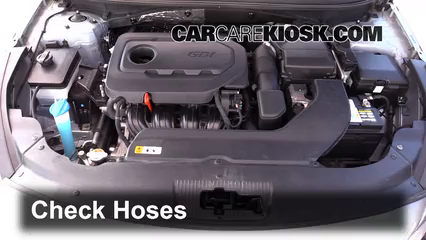 How to Add Coolant: Hyundai Sonata (2015-2019) - 2015 Hyundai Sonata SE ...