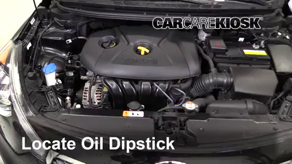 Oil & Filter Change Kia Forte5 (2014-2016) - 2015 Kia Forte5 EX 2.0L 4 Cyl.