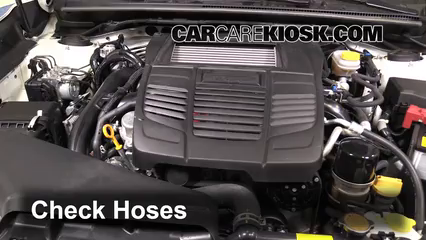 How to Add Coolant: Subaru WRX (2015-2019) Limited 2.0L 4 Cyl. Turbo