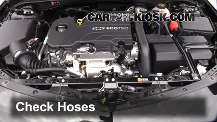 How to Add Coolant: Chevrolet Malibu (2016-2019) - 2016 Chevrolet ...