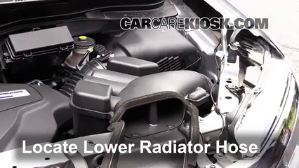 Coolant Flush How-to: Honda Pilot (2016-2019) - 2016 Honda Pilot EX 3.5L V6