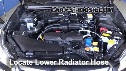 Coolant Flush How-to: Subaru Crosstrek (2013-2019) - 2016 Subaru ...