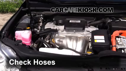 How to Add Coolant: Toyota Camry (2015-2017) - 2016 Toyota Camry Hybrid ...