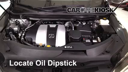 Oil & Filter Change 2019 Lexus RX350 3.5L V6