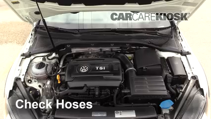 How to Add Coolant: 2017 Volkswagen Golf Alltrack S 1.8L 4 Cyl. Turbo