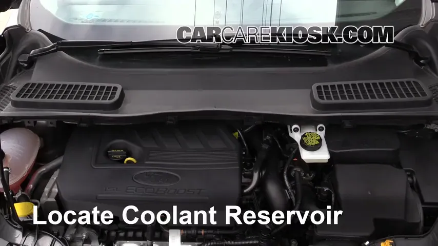 Transmission Fluid Level Check 2018 Ford Escape SE 1.5L 4 Cyl. Turbo