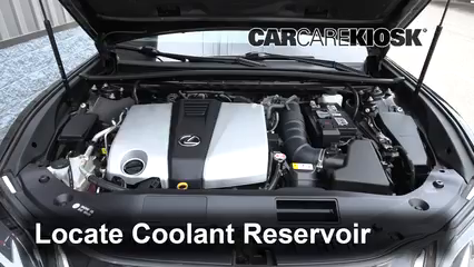 Check Power Steering Level: 2019 Lexus ES350 F Sport 3.5L V6