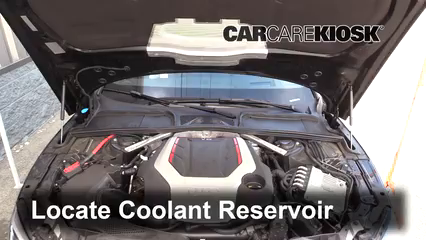 Coolant Level Check on a 2019 Audi S5 Prestige 3.0L V6 Turbo Coupe