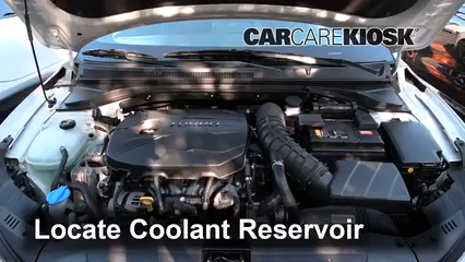 How to Check Brake Fluid Level: 2019 Hyundai Veloster Turbo R-Spec 1.6L ...