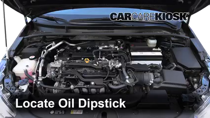 Reverse Light Replacement 2019 Toyota Corolla SE 1.8L 4 Cyl. Hatchback