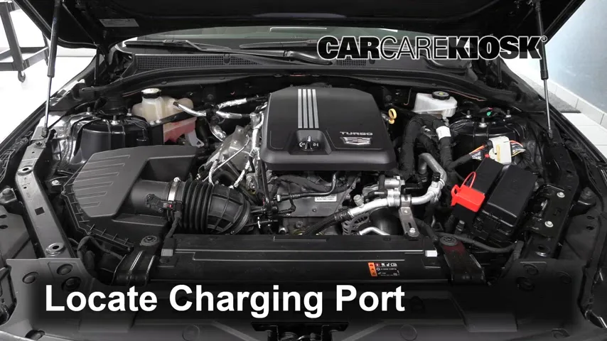 Interior Fuse Check: 2020 Cadillac CT5 Premium Luxury 2.0L 4 Cyl. Turbo