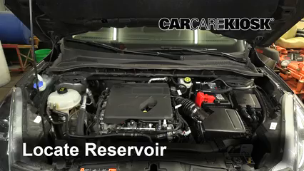 Rear Windshield Wiper Blade Change: 2020 Ford Escape SE 1.5L 3 Cyl. Turbo