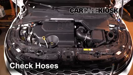 How to Add Coolant: Land Rover Range Rover Evoque (2020-2020) SE 2.0L 4 ...